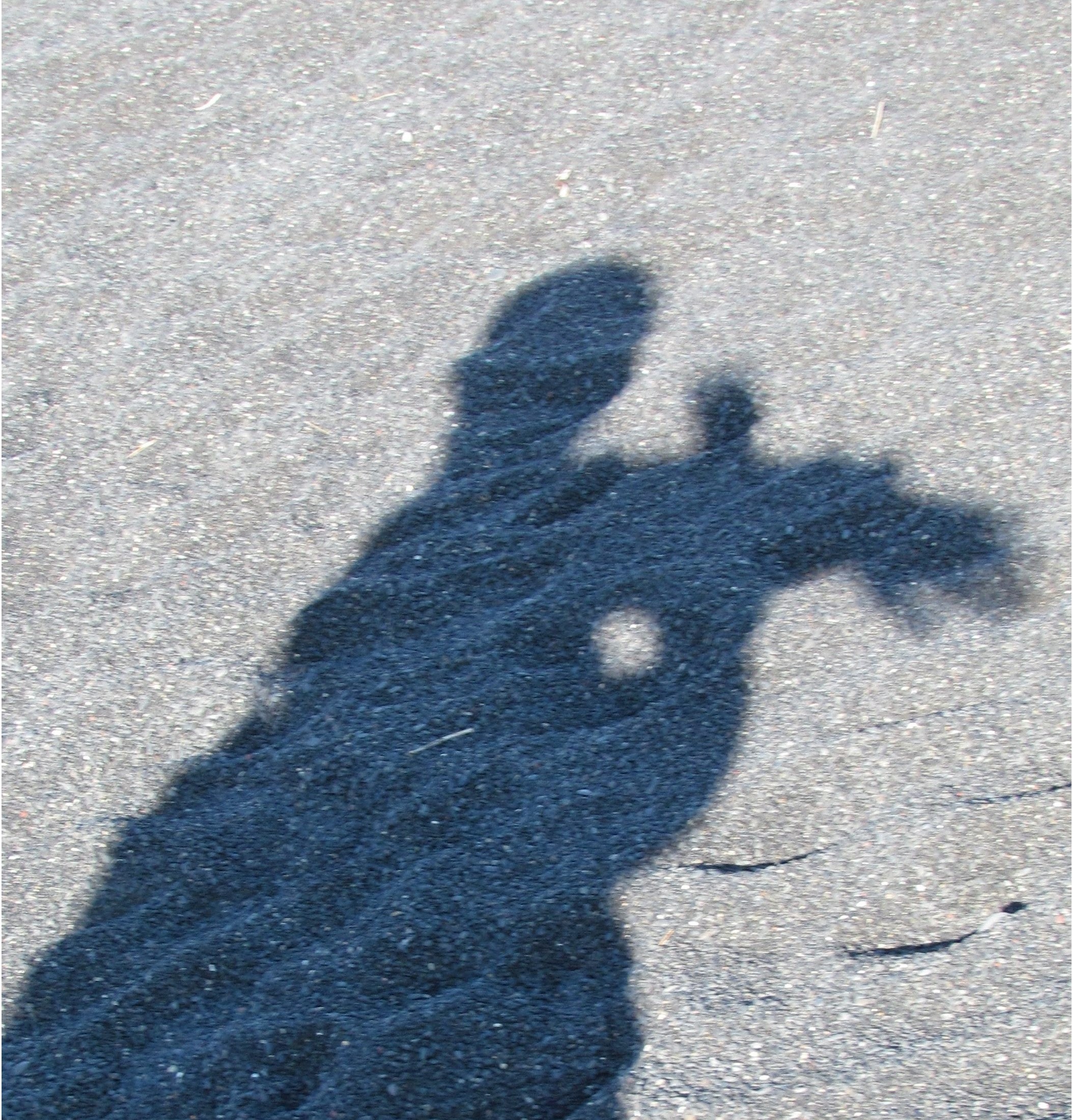 IdeasWingChun – Ideas on the Idea, the Core of Chu Shong Tin Wing Chun