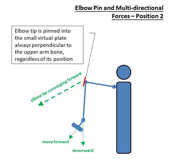 Multi-directional Forces in the Arm – Pinning Elbow Tip in Space ...